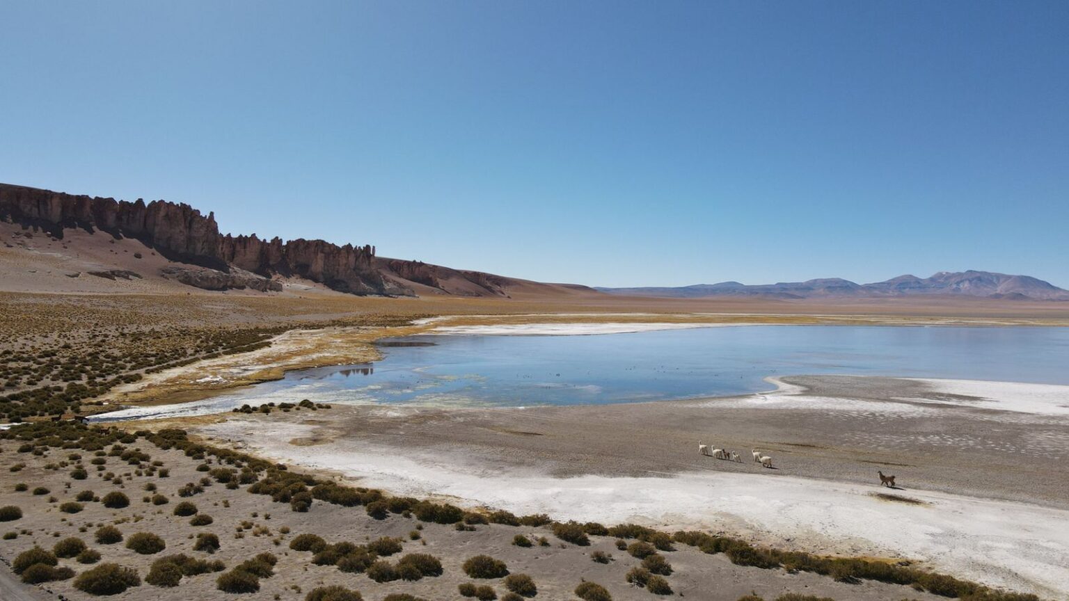 New Paper: The legal geographies of lithium mining in Chilean salt ...